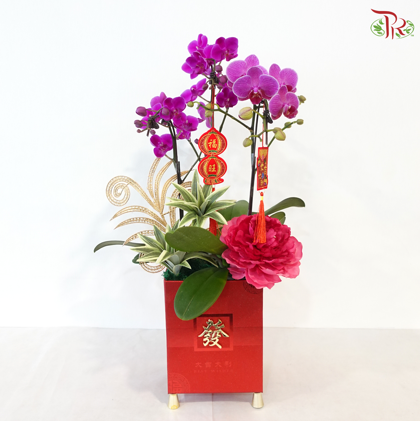 【CNY 2026】Abundant Blessings in Full Bloom《万福兰盛》(Random Choose Orchid ...