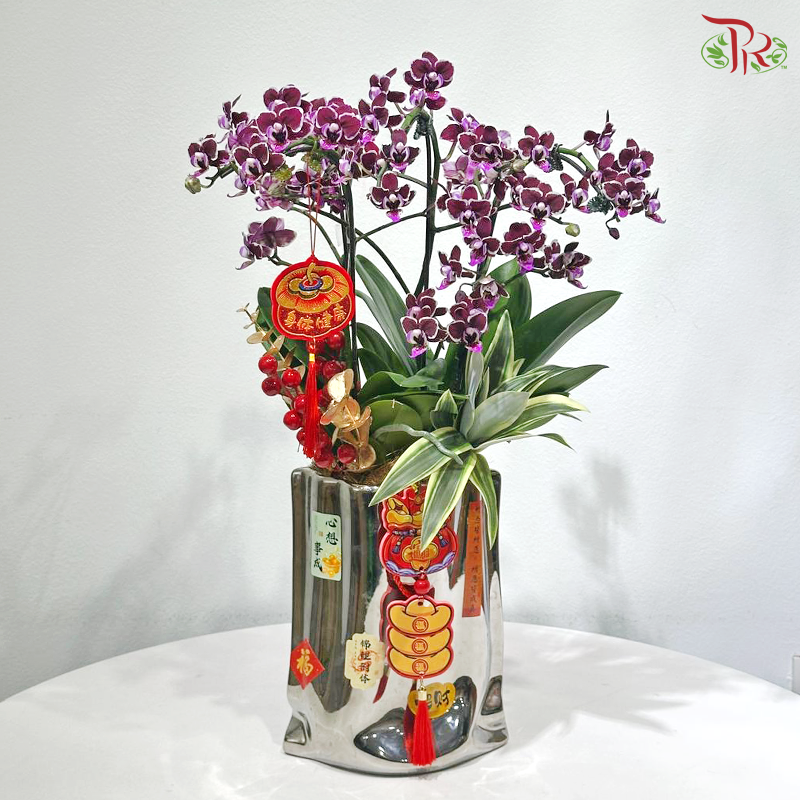 【CNY 2026】Fortune and Prosperity Await - 2in1 MDR Orchid《鸿运银来》(Random ...