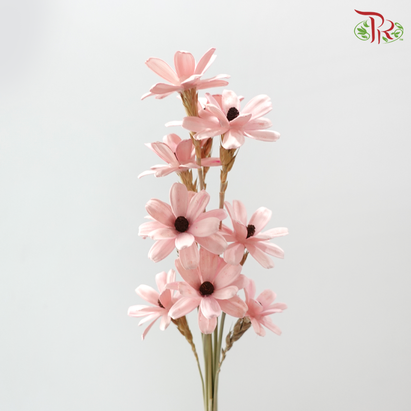 Dried Sunflower-seeds Flower - Pink – Pudu Ria Florist
