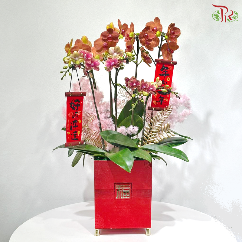 【CNY 2026】Abundant Fortune Everywhere - 4in1 MDR Orchid《八方鸿运》(Random C ...