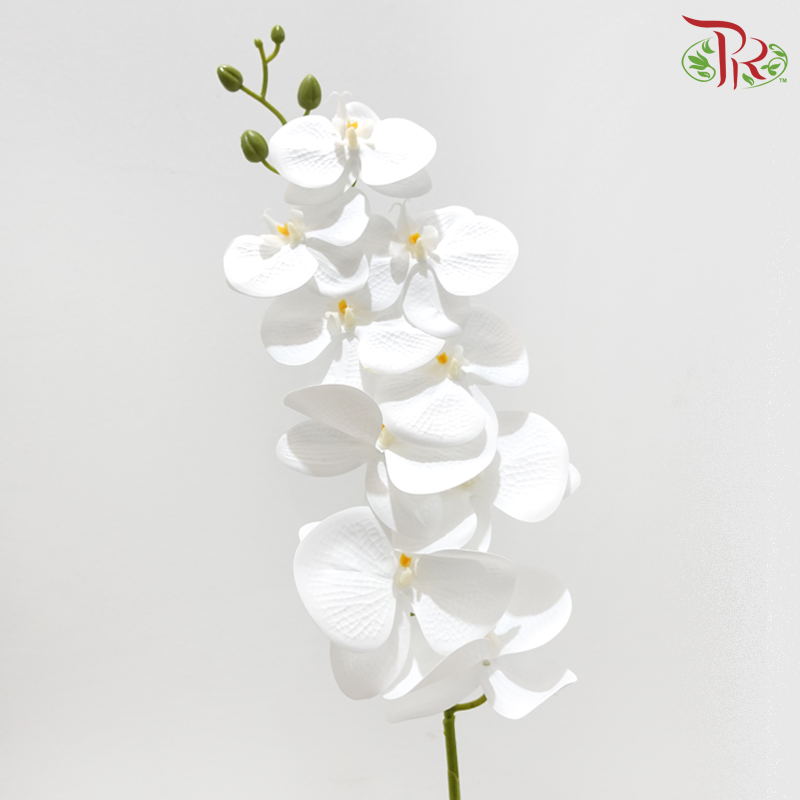 90cm Artificial Butterfly Orchid - White (Per Stem) – Pudu Ria Florist