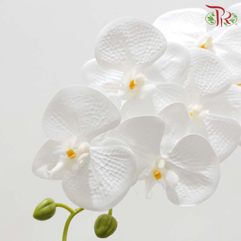 90cm Artificial Butterfly Orchid - White (Per Stem) – Pudu Ria Florist