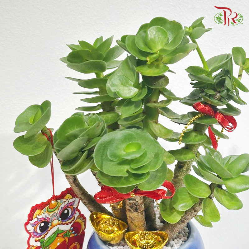 【CNY 2026】Everlasting Wealth《金钱永旺》 – Pudu Ria Florist