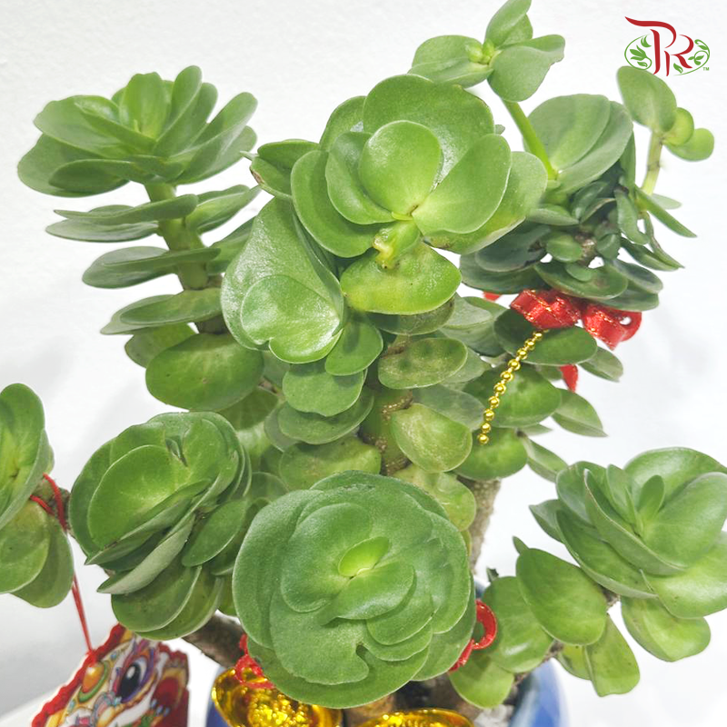 【CNY 2026】Everlasting Wealth《金钱永旺》 – Pudu Ria Florist