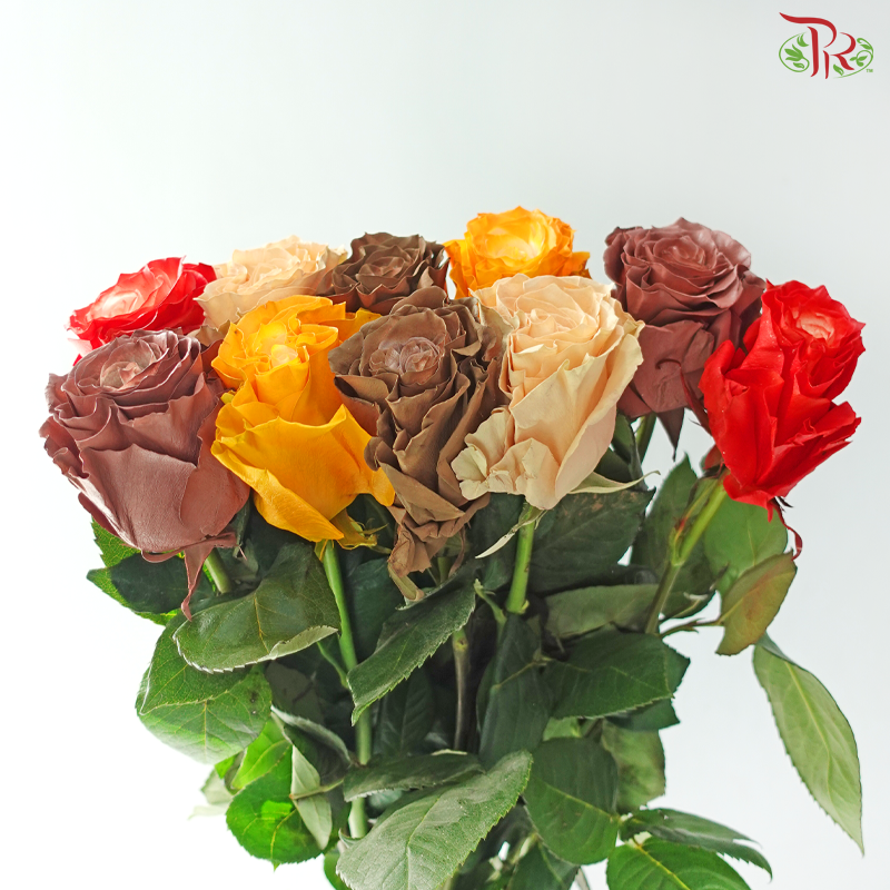 Ceres Rose - Mystic Autumn (10 Stems) – Pudu Ria Florist