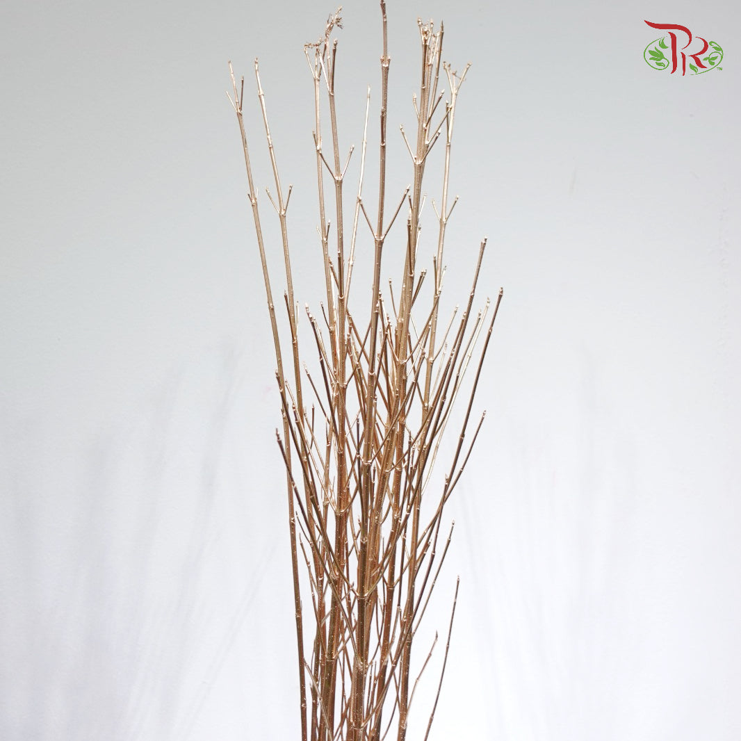 Cornus Antique Gold (10 Stems) – Pudu Ria Florist