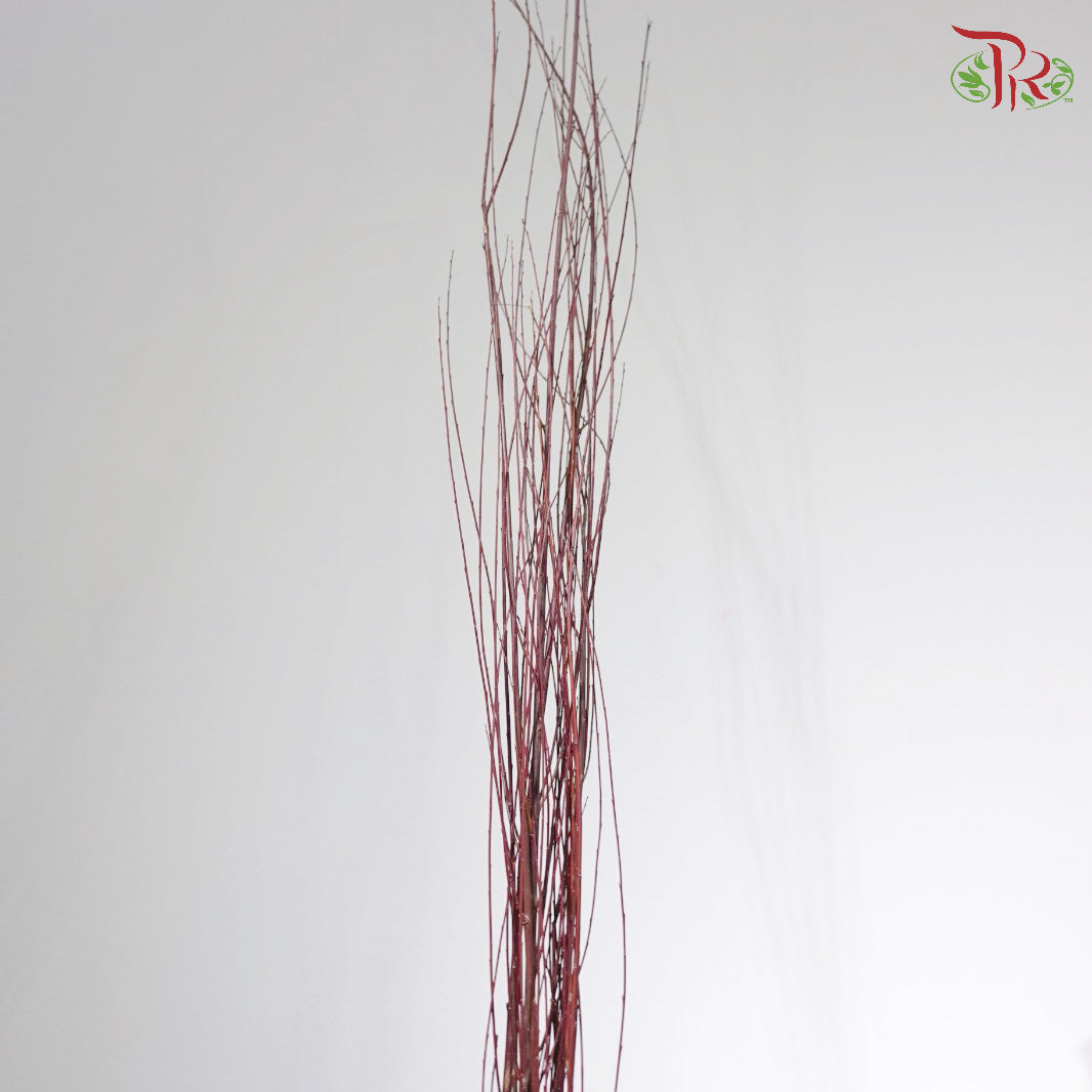 Salix - Dark Red (Per Bunch) – Pudu Ria Florist
