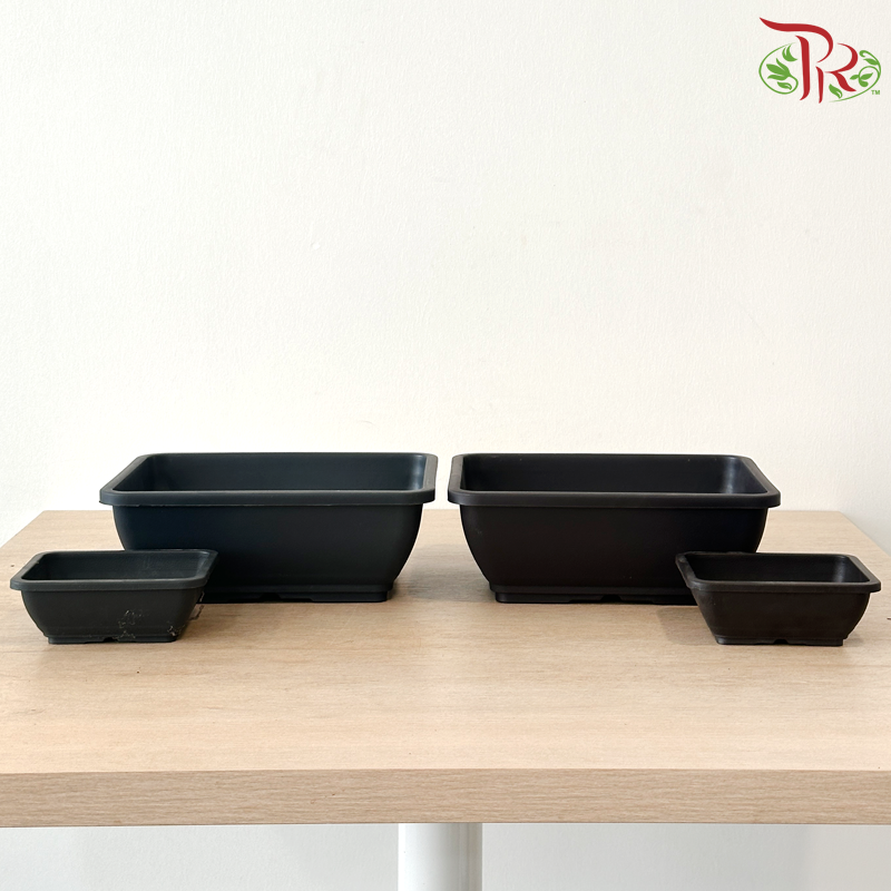 Felton Rectangular Flower Pot 2694/2697 (FBL-269-4) (FBL-269-7) (With ...