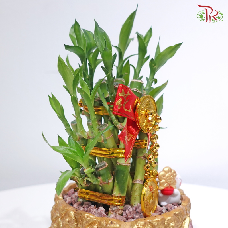GF19 Blessing Steps《步步好运》 – Pudu Ria Florist