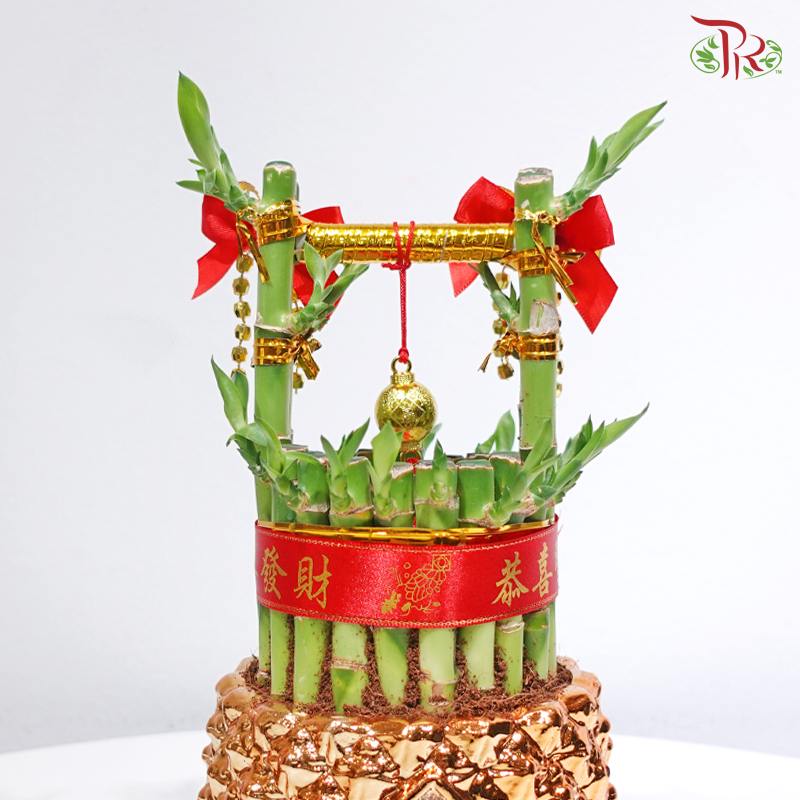 GF20 Rich Bucket《一桶金》 – Pudu Ria Florist