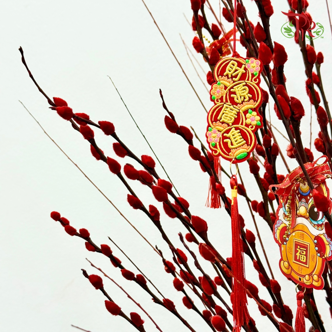 Buddha’s Hand Welcomes Happiness 佛手迎喜 (Buddha's Hand Plant / Citrus ...