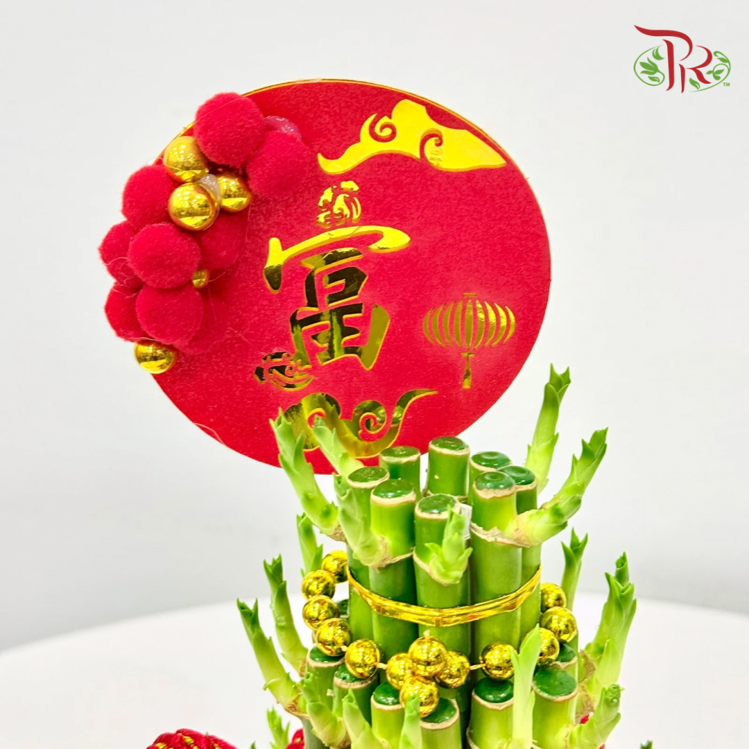 Buddha’s Hand Welcomes Happiness 佛手迎喜 (Buddha's Hand Plant / Citrus ...