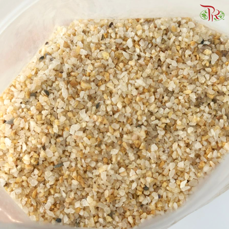New Golden Yellow Sand《新黄金》(10KG) – Pudu Ria Florist