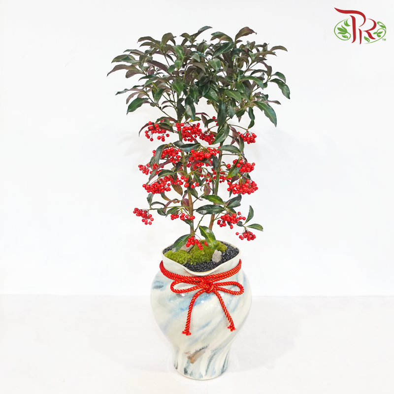 【CNY 2026】A House Full of Good Fortune《满堂红运》 – Pudu Ria Florist