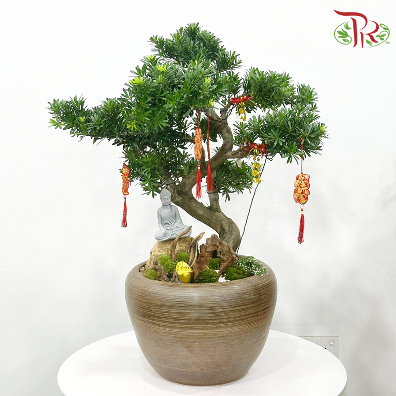 【CNY 2026】Fortune Podocarpus Arrangement《福运罗汉》 – Pudu Ria Florist