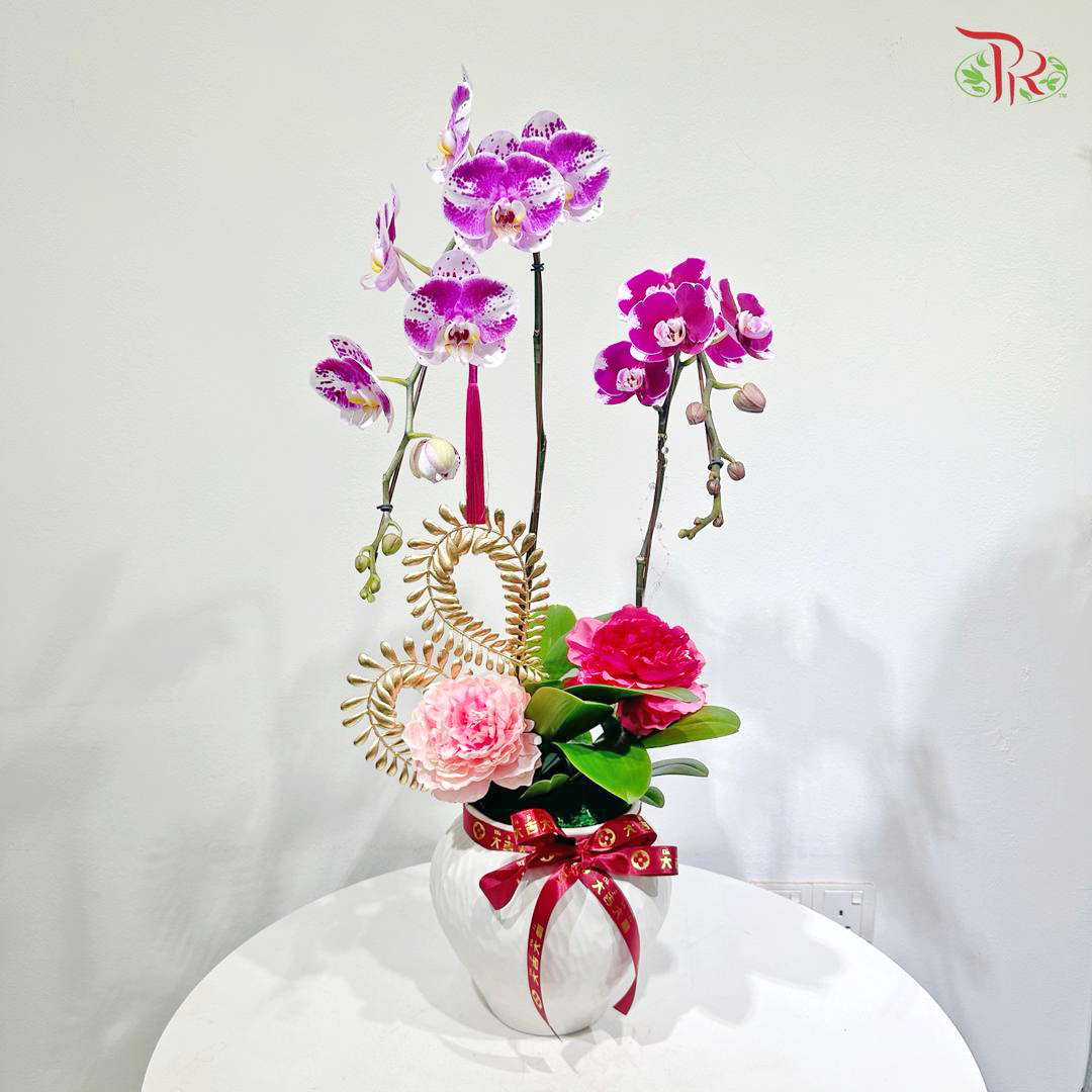 【CNY 2026】Spring Everywhere 《春满人间》(Random Choose Orchid Color) – Pudu ...