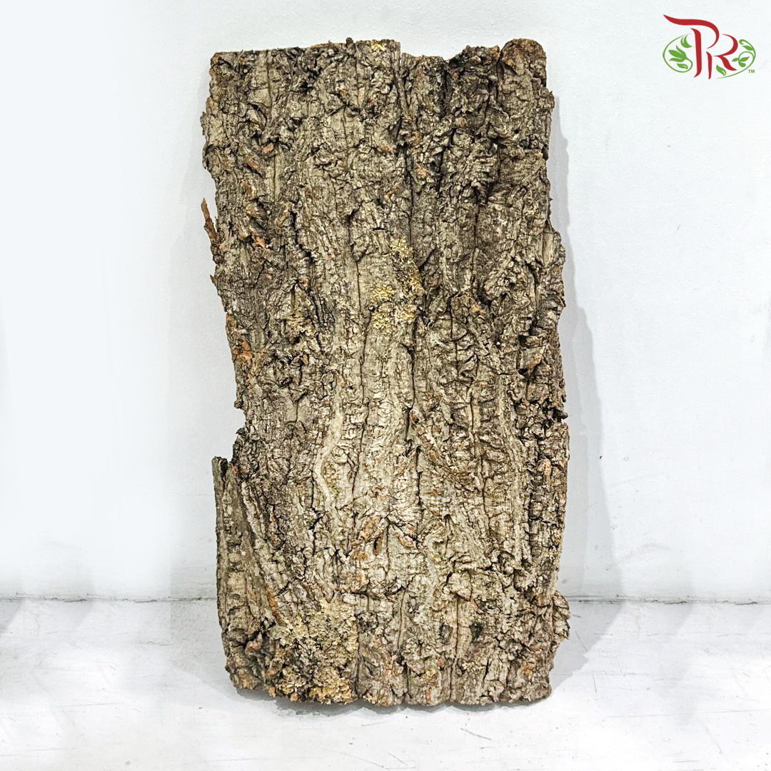 Tree Bark Skin《树皮》1KG – Pudu Ria Florist