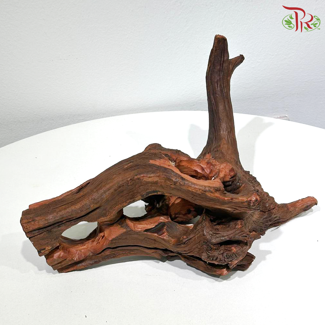 Porous Sunken Wood《多孔木》1KG – Pudu Ria Florist