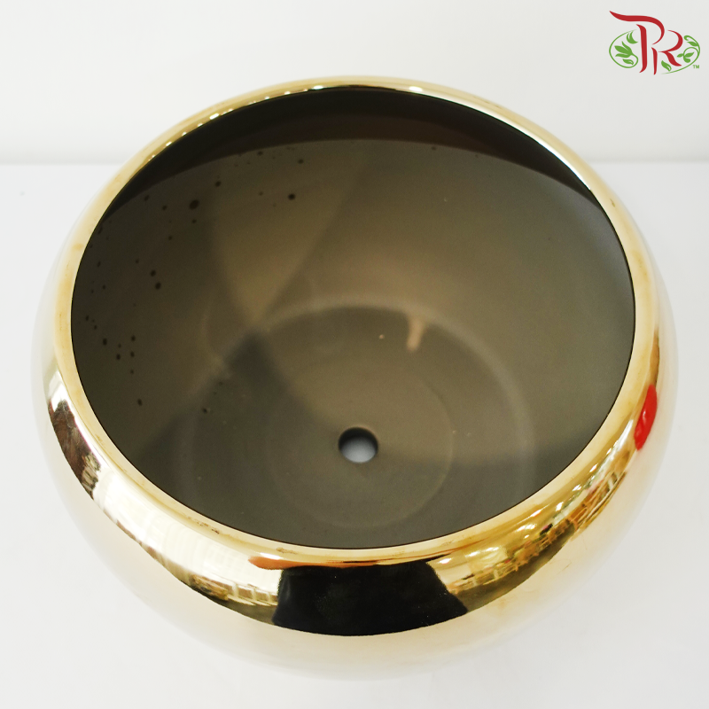YS-QX-8 Gold Pot – Pudu Ria Florist