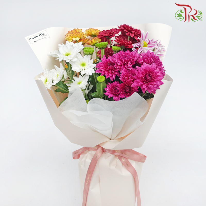Assorted Chrysanthemum Pom Pom Hand Bouquet (Per Bunch) S size – Pudu ...