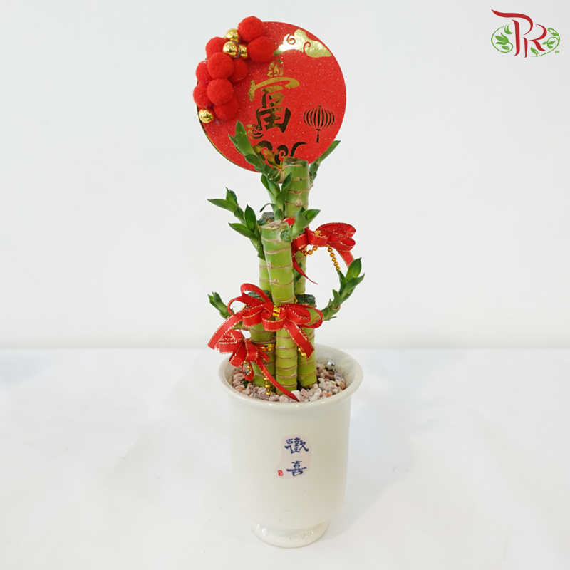 Five Blessings Dragon Head Bamboo《五福临门招财竹》(Random Choose CNY Deco ...