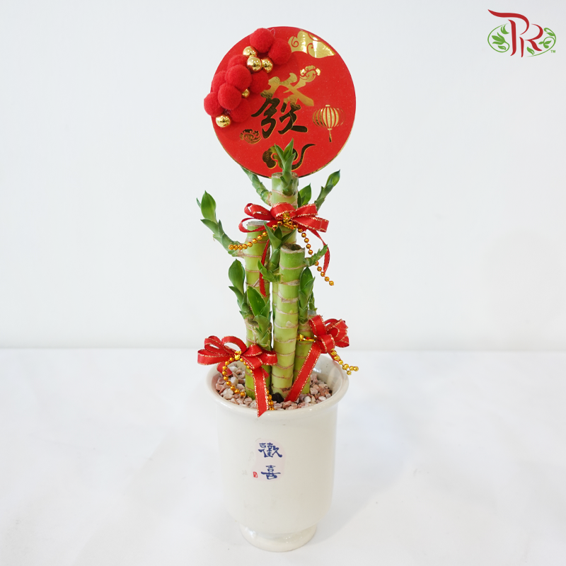 Five Blessings Dragon Head Bamboo《五福临门招财竹》(Random Choose CNY Deco ...