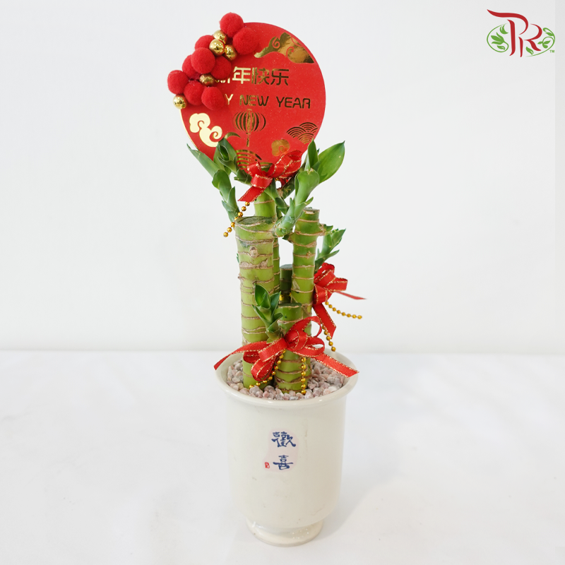 Five Blessings Dragon Head Bamboo《五福临门招财竹》(Random Choose CNY Deco ...