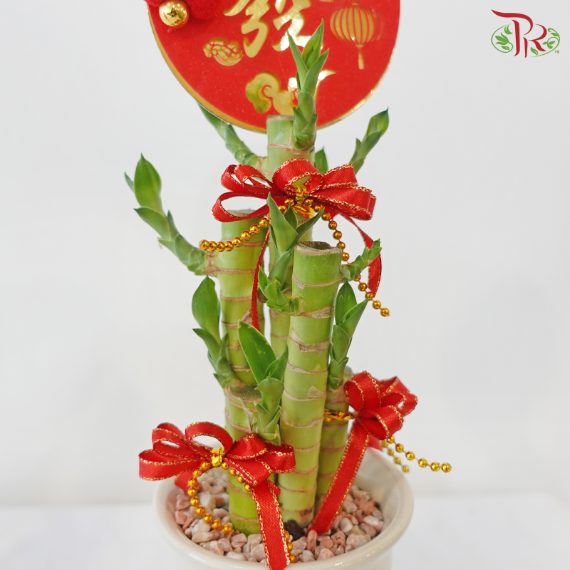 Five Blessings Dragon Head Bamboo《五福临门招财竹》(Random Choose CNY Deco ...