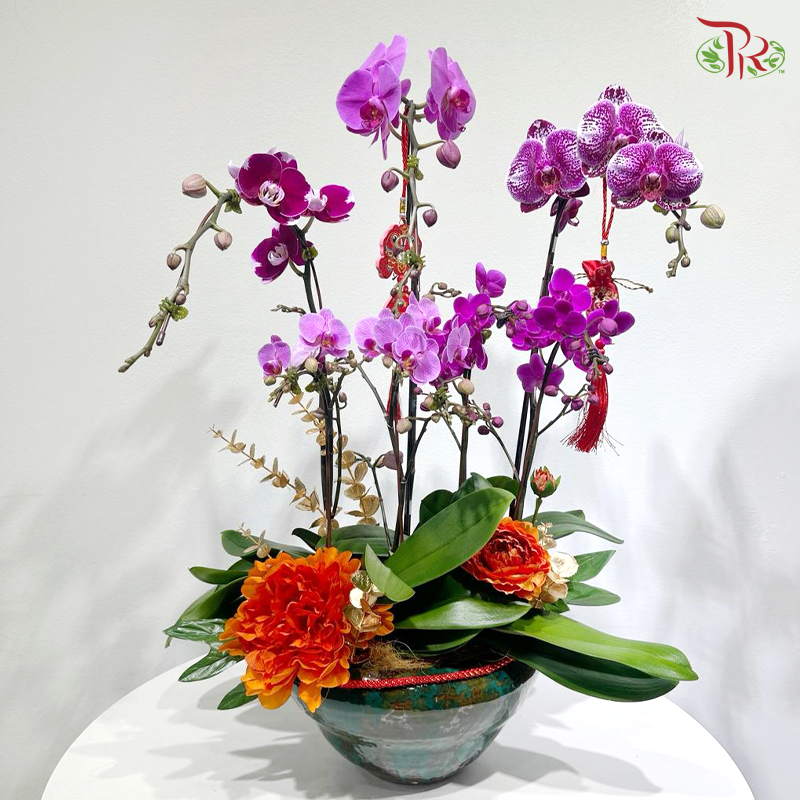 【CNY 2026】Prosperity Fills The Hall《富贵满堂》(Random Choose Orchid Color ...