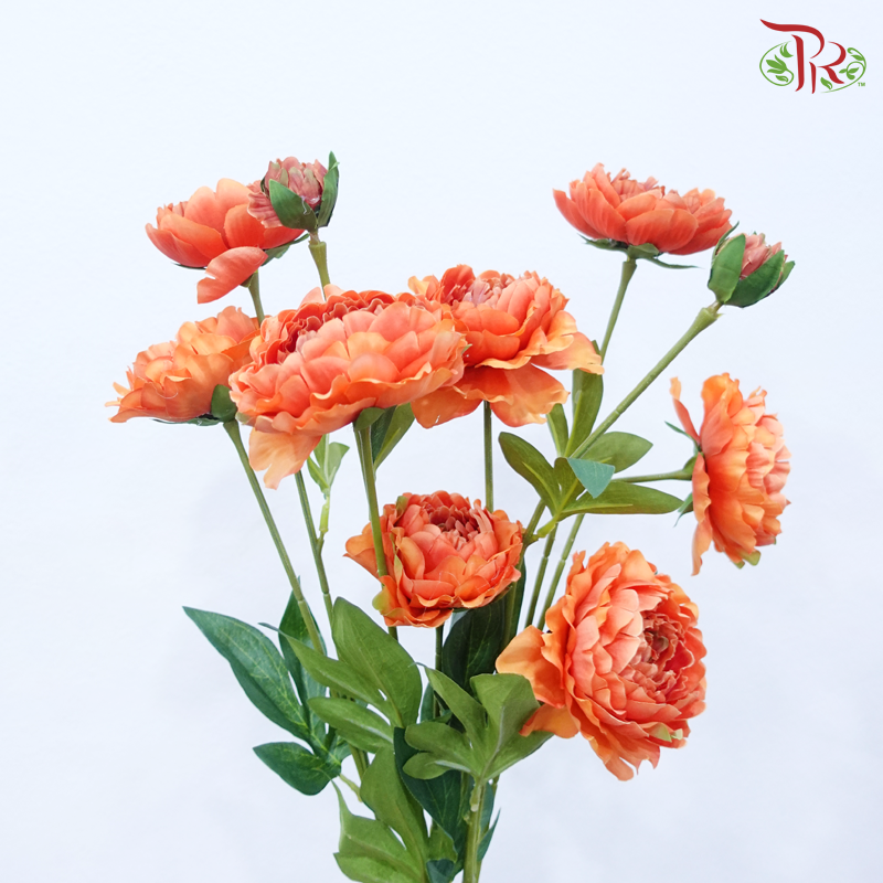 87cm Ranunculus Spray - Orange (2 Stems) – Pudu Ria Florist